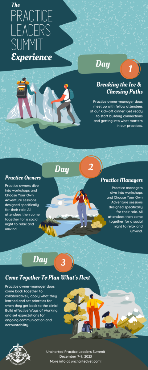 The Practice Leaders Summit Experience